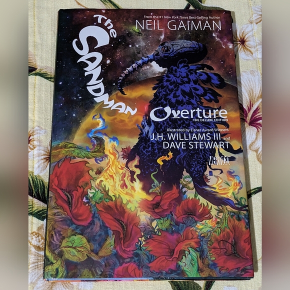 DC Comics | Other | The Sandman Comic Book 25 Dc Comics Hard Cover ...